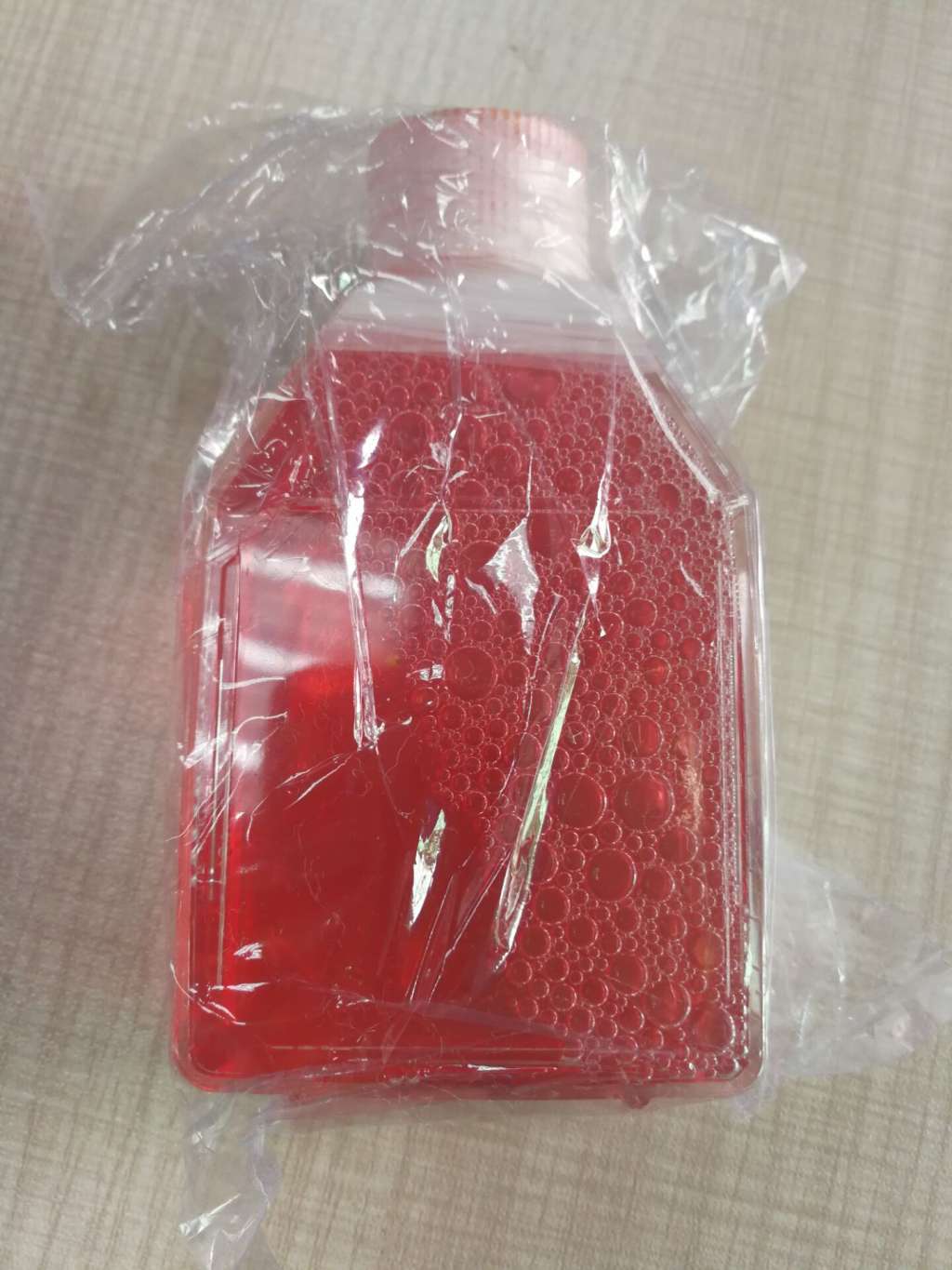 小鼠骨髓巨噬细胞永生化 - 广州速研生物科技有限公司